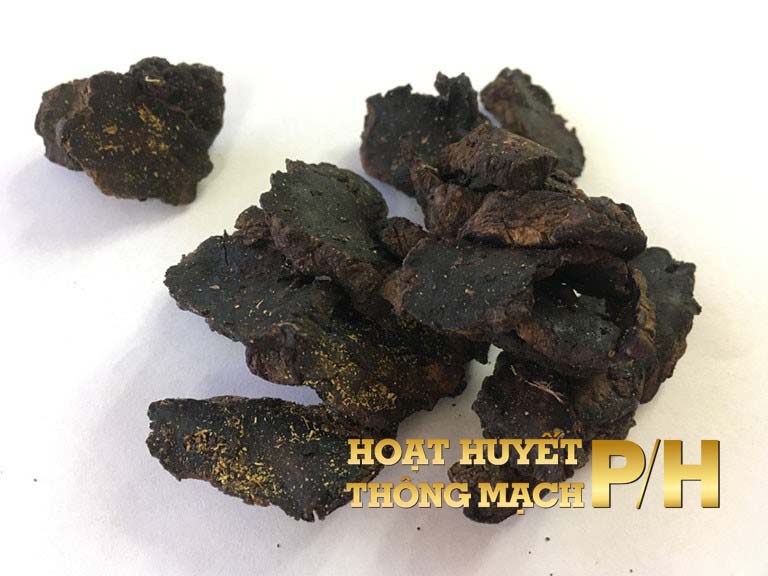 Thục địa - vị thuốc chủ lực trong nhiều bài thuốc bổ, tốt cho sức khỏe
